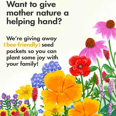 Free Bee-Friendly Flower Seeds - Freebies and Free Samples by Mail