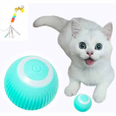 FREE Cat Ball Toys - Freebies and Free Samples by Mail