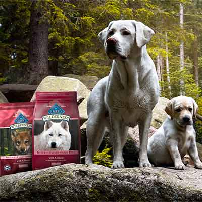 FREE Blue Buffalo Wilderness Products - Freebies and Free Samples by Mail