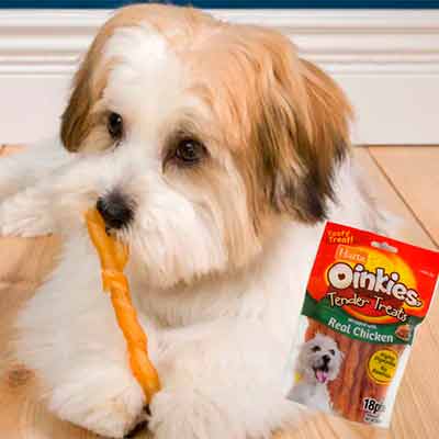 FREE Hartz Dog Treats - Freebies and Free Samples by Mail