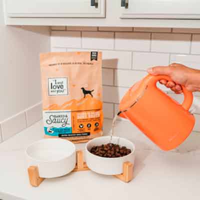 FREE Oven-Baked Dog Food - Freebies and Free Samples by Mail