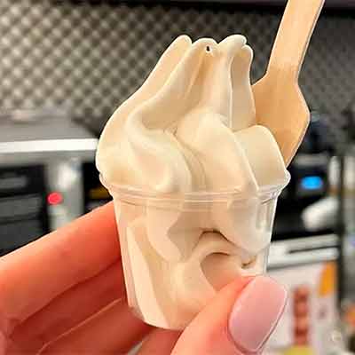FREE Ice Cream Samples - Freebies and Free Samples by Mail