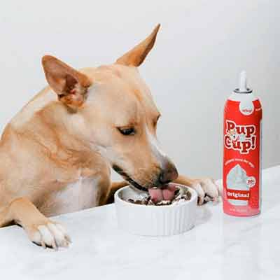 FREE Pup Cup Whipped Dog Treat - Freebies and Free Samples by Mail