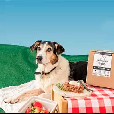 FREE Full-Size 1 LB Meal of Deli Dinners For Dogs - Freebies and Free ...