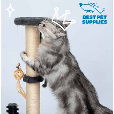 FREE Best Pet Supplies Cat Scratch - Freebies and Free Samples by Mail