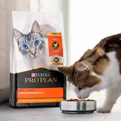 FREE Cat Food Products - Freebies and Free Samples by Mail