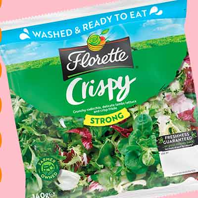 FREE Florette Crispy Salad - Freebies and Free Samples by Mail