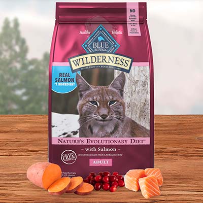 FREE Blue Buffalo Wilderness Salmon Cat Food Kit - Freebies and Free ...