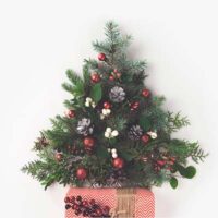 FREE Christmas Tree - Freebies and Free Samples by Mail