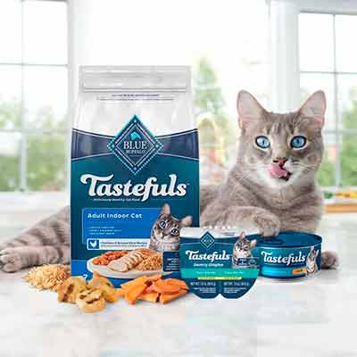 FREE BLUE Tastefuls Cat Food Sample - Freebies and Free Samples by Mail